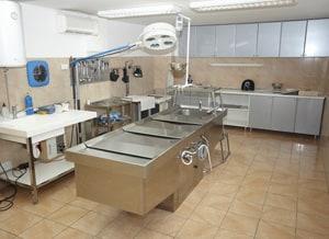 Do you Need Autopsy in Malpractice Cases? | Baltimore, Maryland Medical ...